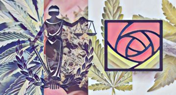 City Council Amendments to Cannabis Ordinance Will Allow More ...