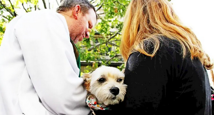 Creatures Great and Small (And Their Owners) Welcome at All Saints ...