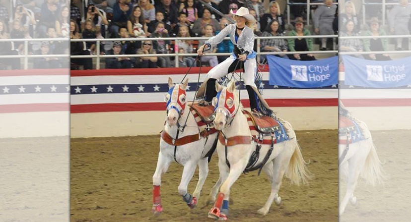 A Showcase of 2024 Rose Parade Equestrian Units at Equestfest – Pasadena Now
