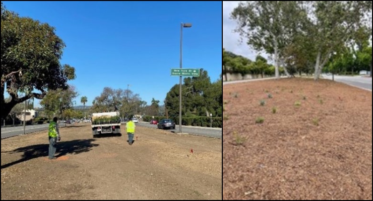 Pasadena Completes Sierra Madre Boulevard Median Renovation in Wake of ...