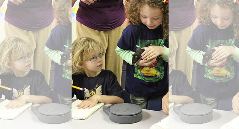 Aveson Center for Independent Study - Pasadena Schools