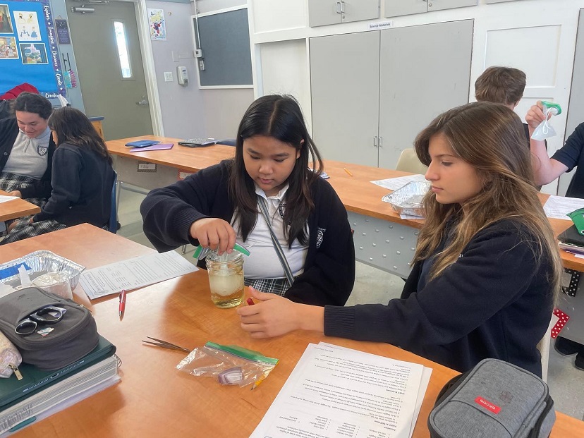 Assumption 7th Graders Study Diffusion and Osmosis with the Iodine ...